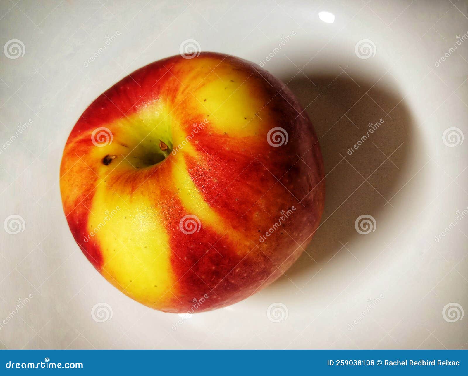 Red yellowish apple stock photo. Image of fruit, produce - 259038108