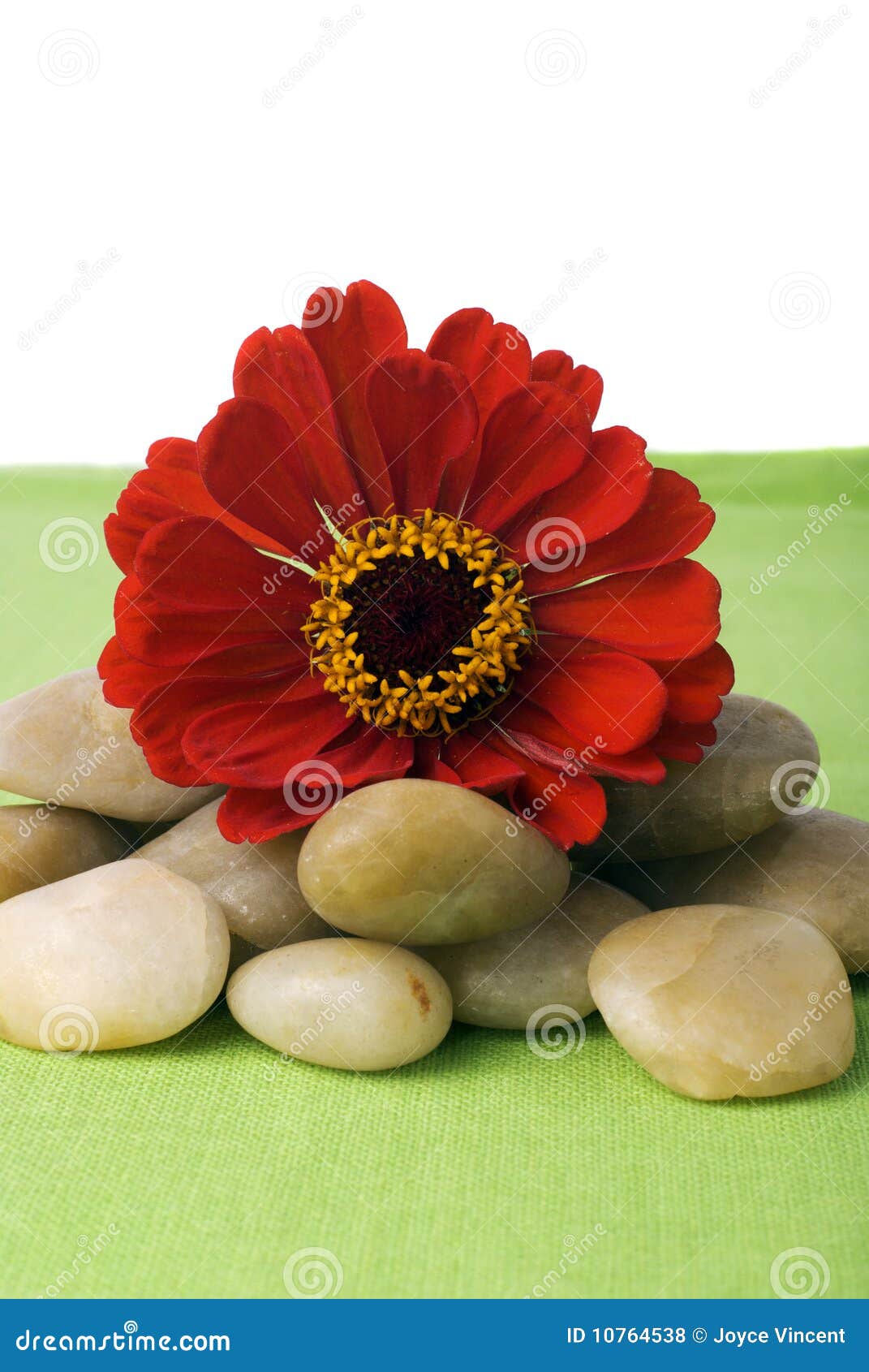 3,055 Pretty River Rocks Stock Photos - Free & Royalty-Free Stock ...