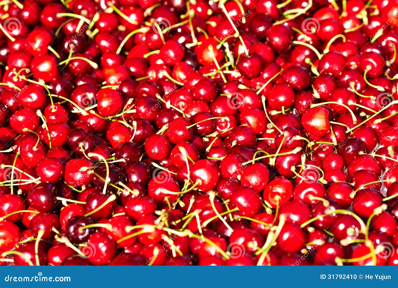 Redberries stock photo. Image of redberries, market, summer - 31792410