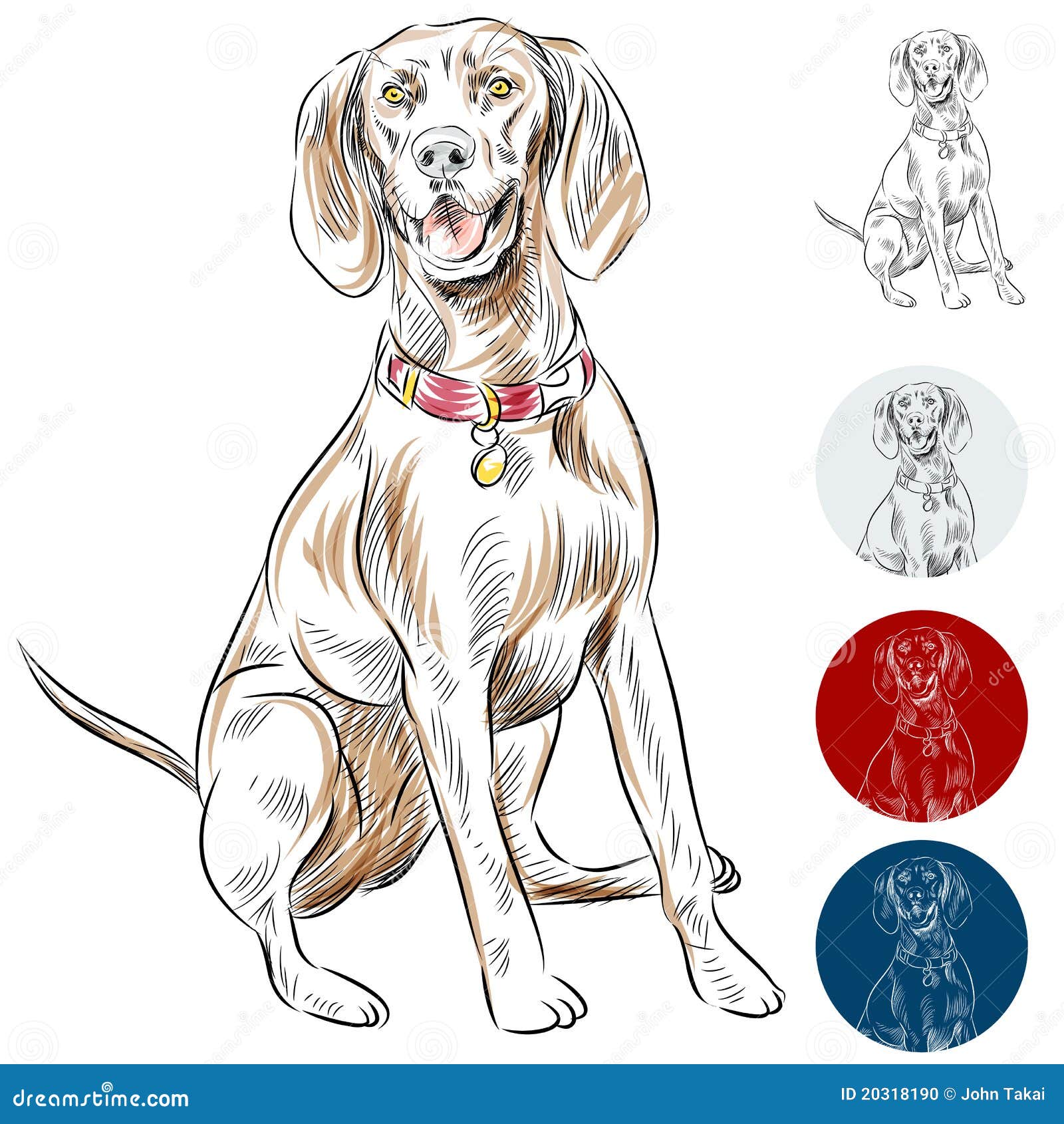 Redbone Coonhound stock vector. Illustration of pure - 20318190