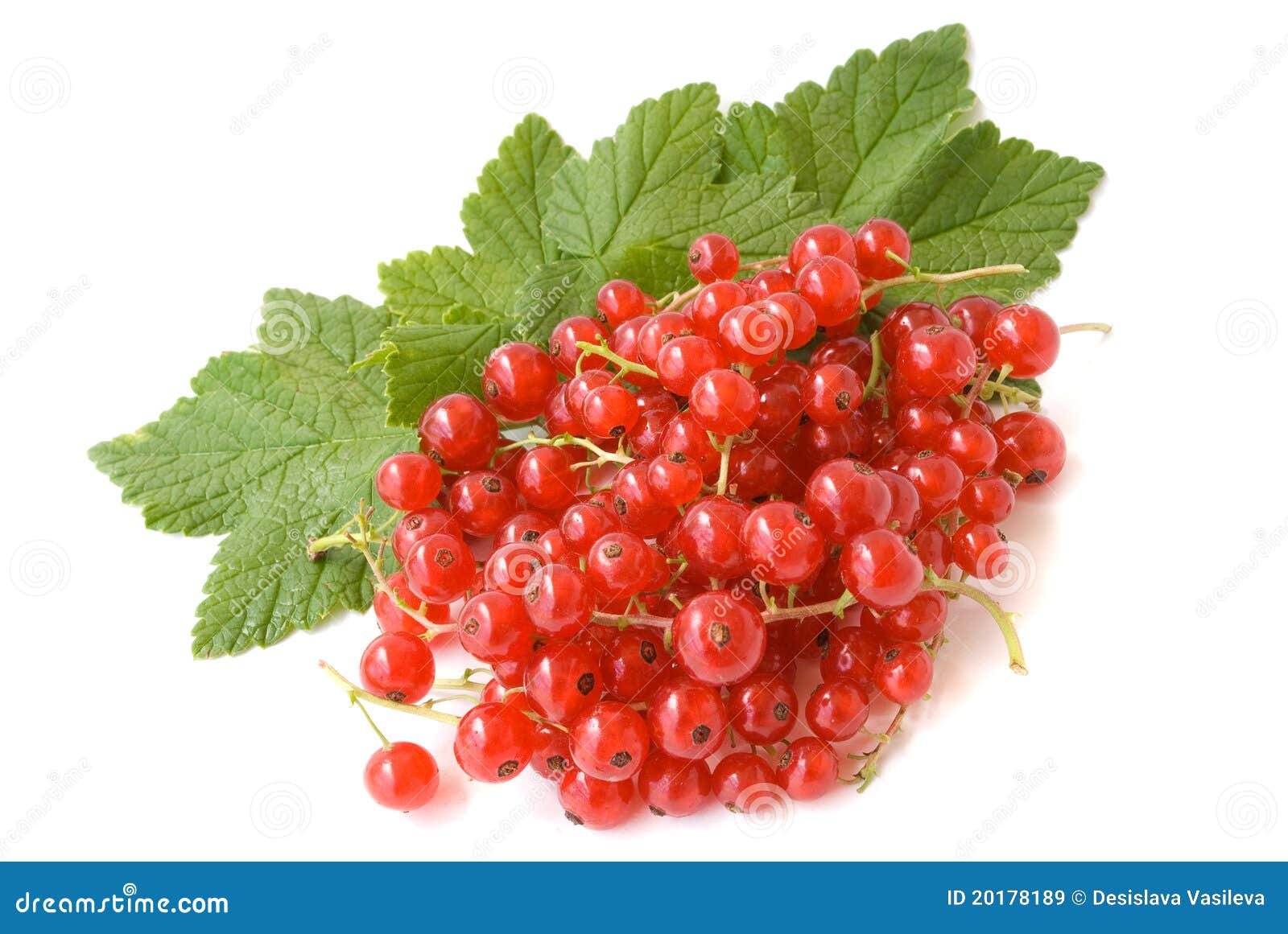 Redcurrant stock image. Image of food, juicy, fruit, background - 20178189