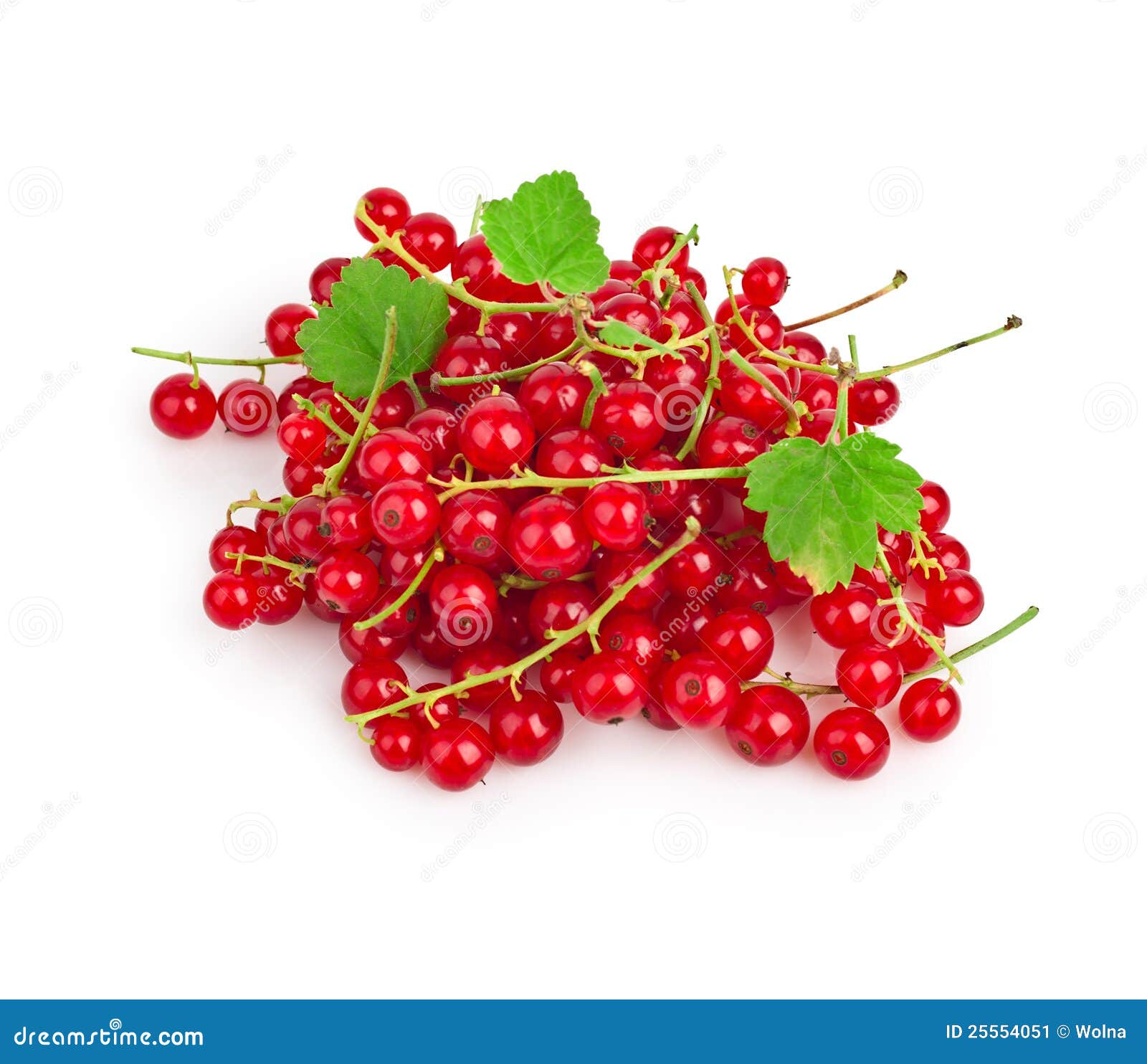 Redcurrant stock image. Image of natural, healthy, antioxidant - 25554051