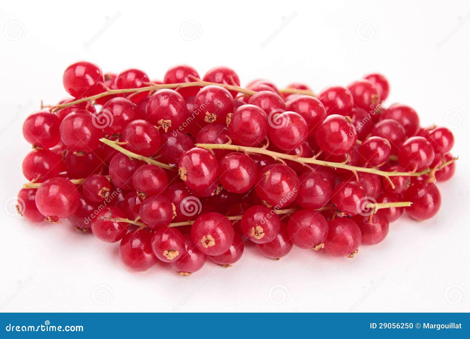 Redcurrant stock photo. Image of currant, fresh, redcurrant - 29056250