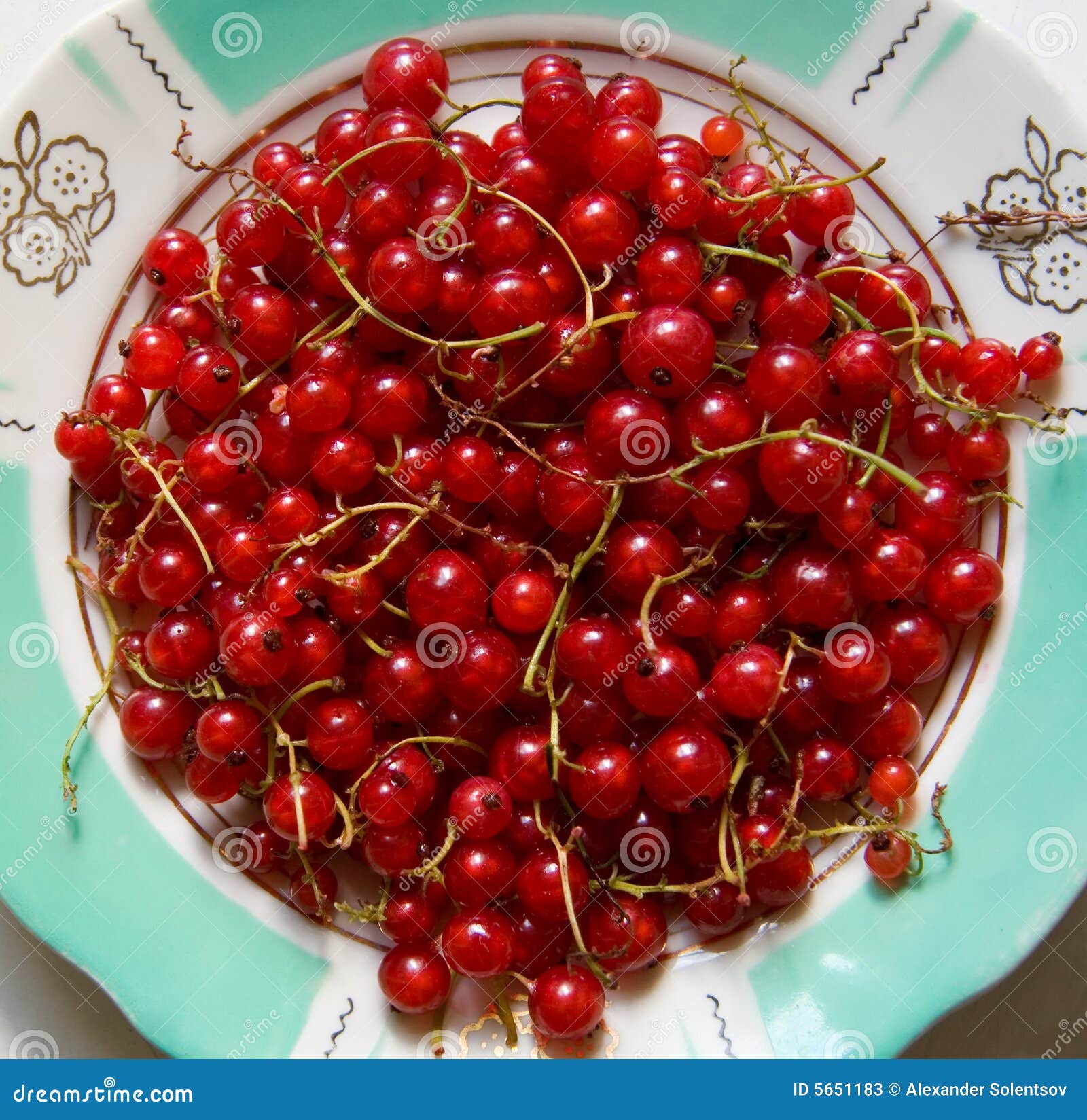 Redcurrant stock image. Image of fruit, plate, close, backgrounds - 5651183