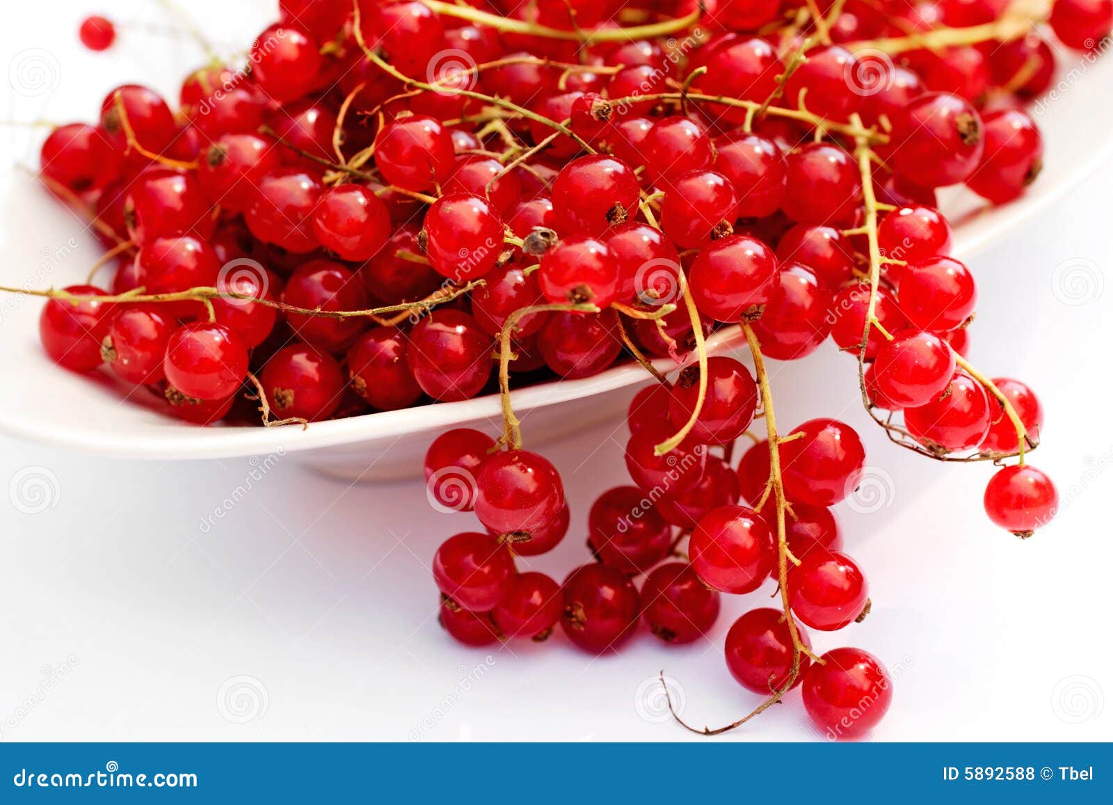 Redcurrant stock photo. Image of fruit, dish, seasonal - 5892588