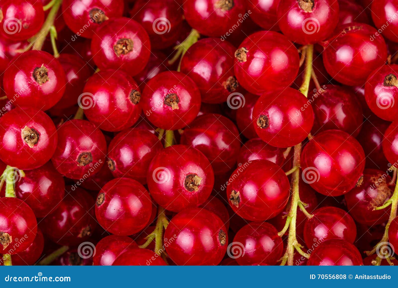 Redcurrant Berries Background. Red Currant in Close-up Stock Photo ...