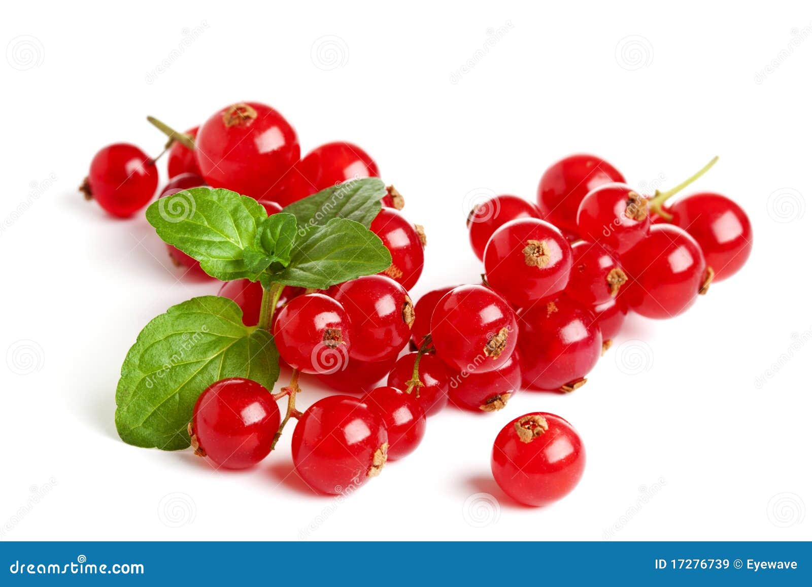 Redcurrant isolated stock image. Image of ripe, gooseberry - 17276739