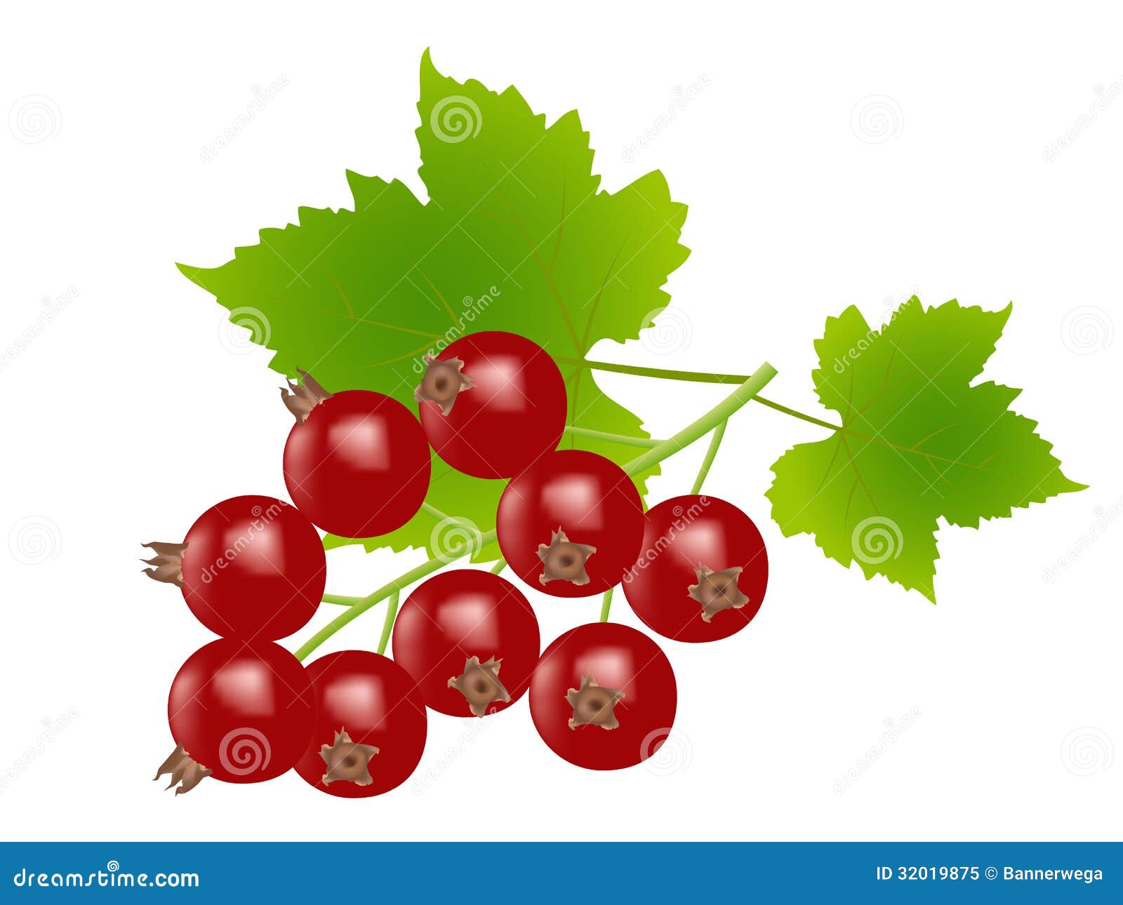 Redcurrants Cartoons, Illustrations & Vector Stock Images - 151 ...