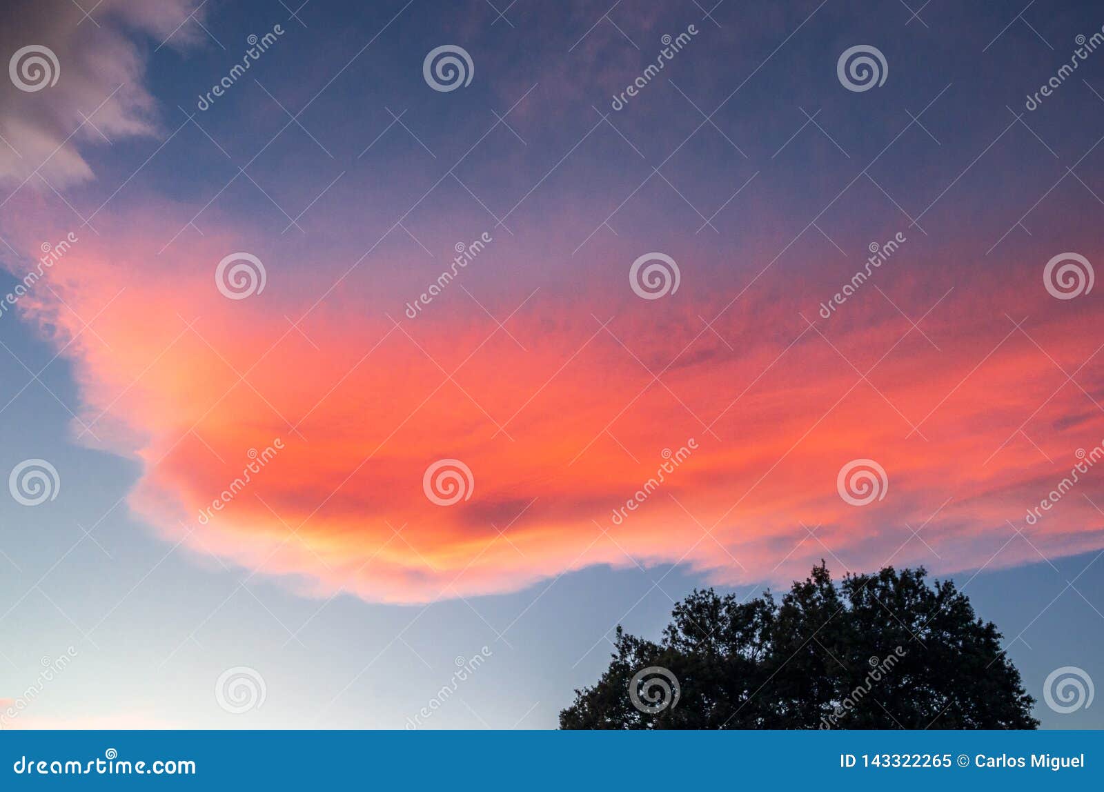 Reddish Clouds at Sunset Over Tree Stock Image - Image of cloud, nature ...