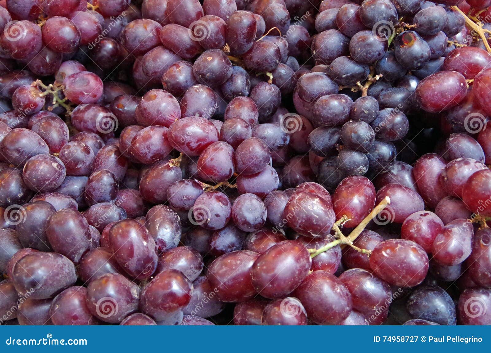Reddish Purple Grape Bunches Stock Image - Image of nature, color: 74958727