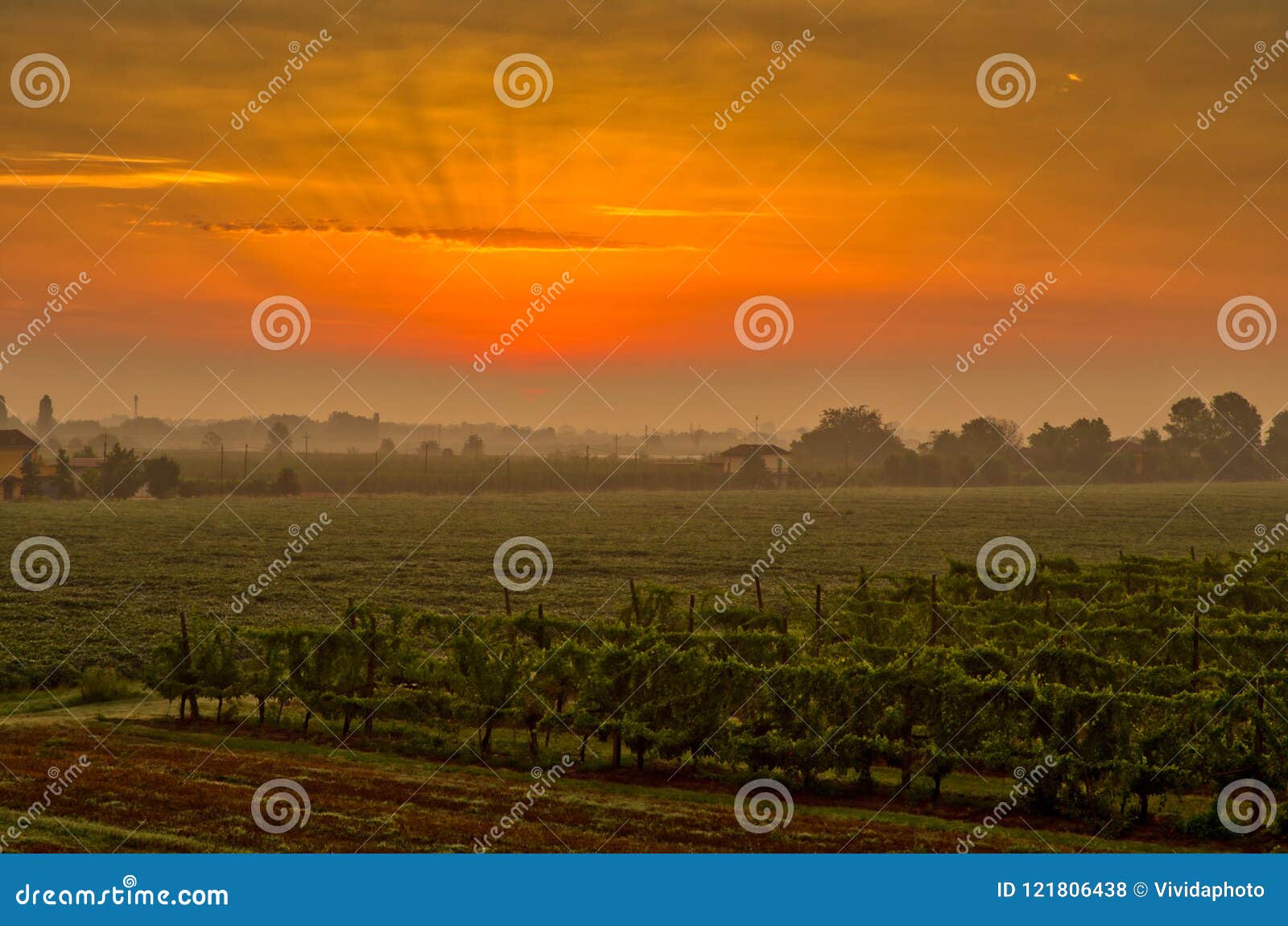 Sunrise on countryside stock photo. Image of green, sunlight - 121806438