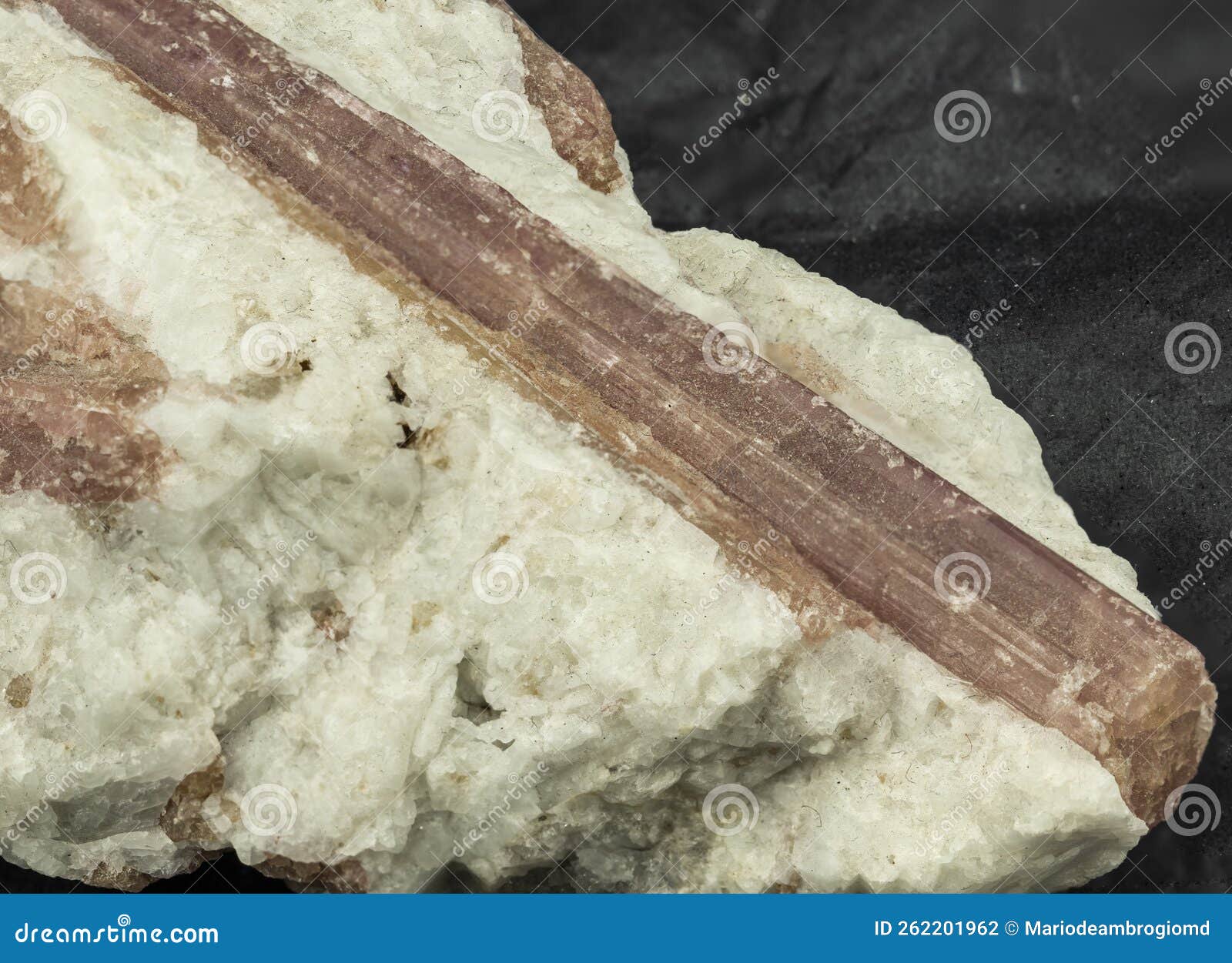 Reddish Tourmaline Mineral Sample on Matrix on Black Background Stock ...