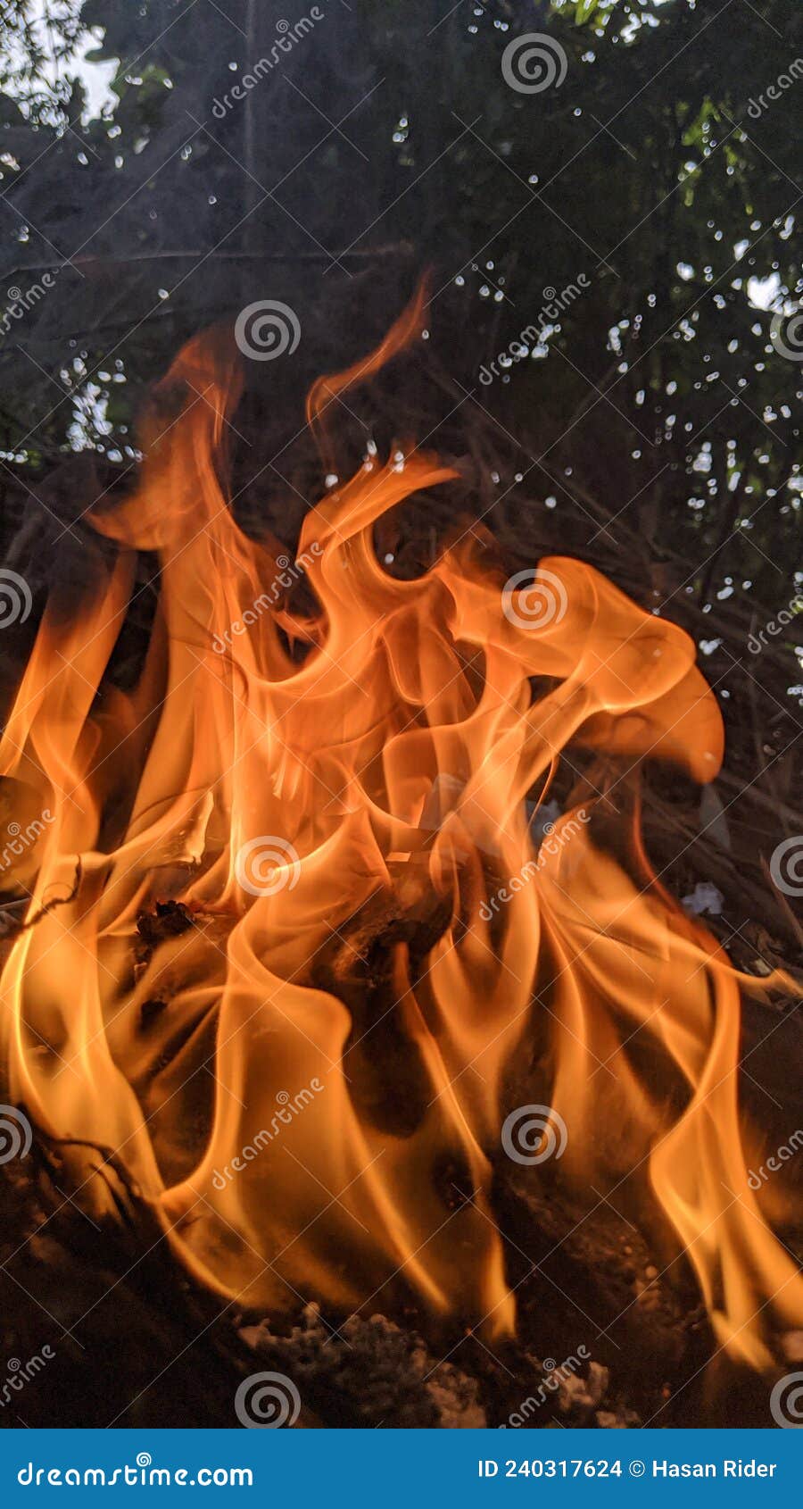 Reddish Yellow Burning Fire Stock Photo - Image of quail, screenshot ...