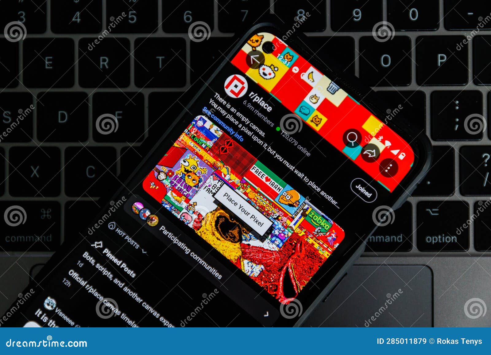Reddit App and Place Subreddit Where Users Placing Their Pixels ...