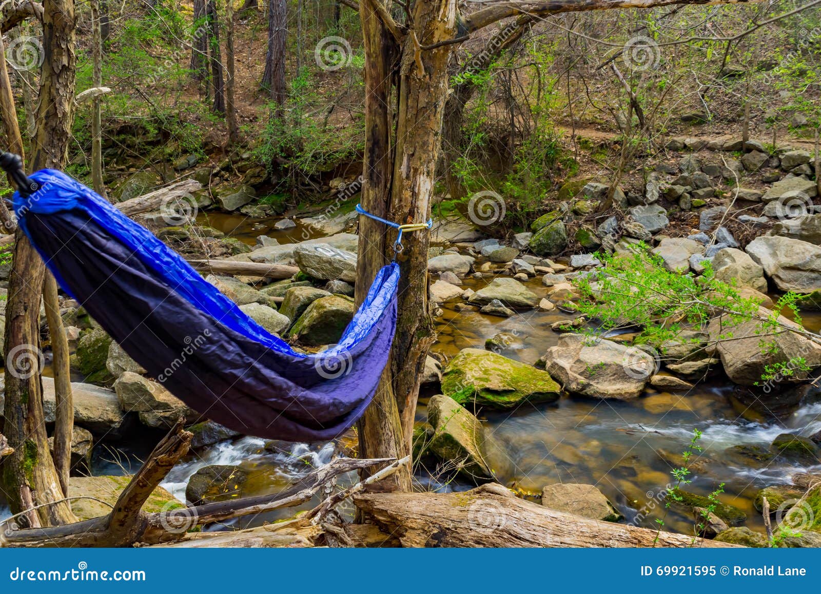 Rede Azul Nas Madeiras Com Um Rio Pequeno Imagem de Stock - Imagem de ...