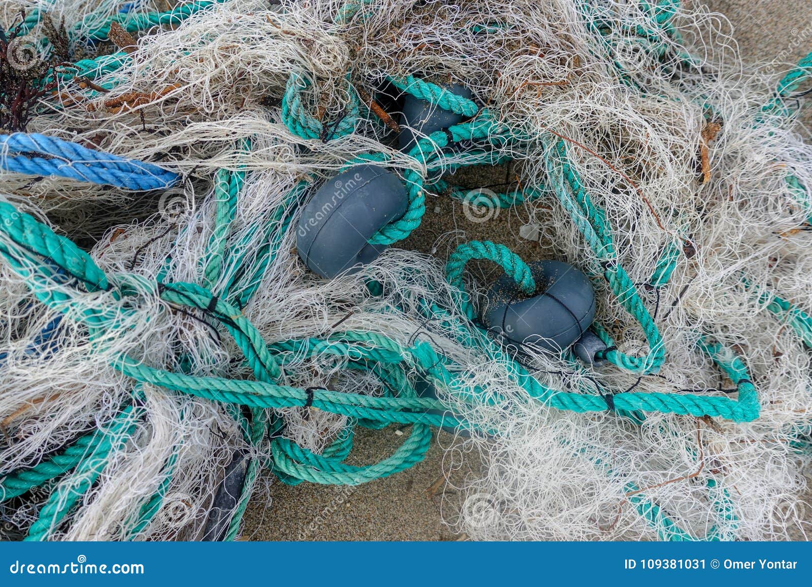 Rede da corda e dos peixes imagem de stock. Imagem de redes - 109381031