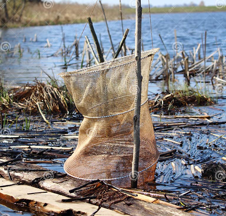 Rede dos peixes imagem de stock. Imagem de arremetidas - 24502969