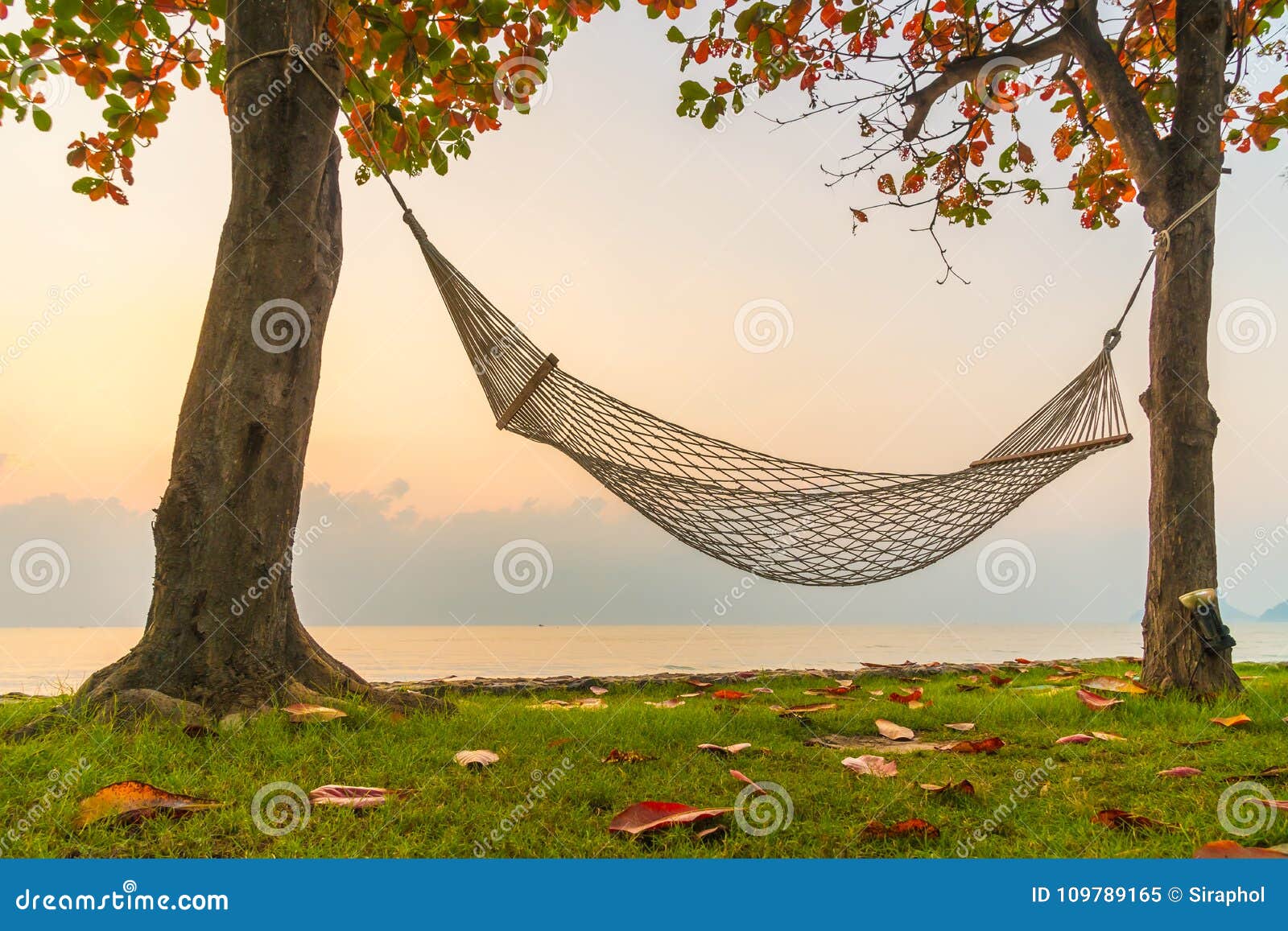 Rede na praia e no mar imagem de stock. Imagem de relaxamento - 109789165