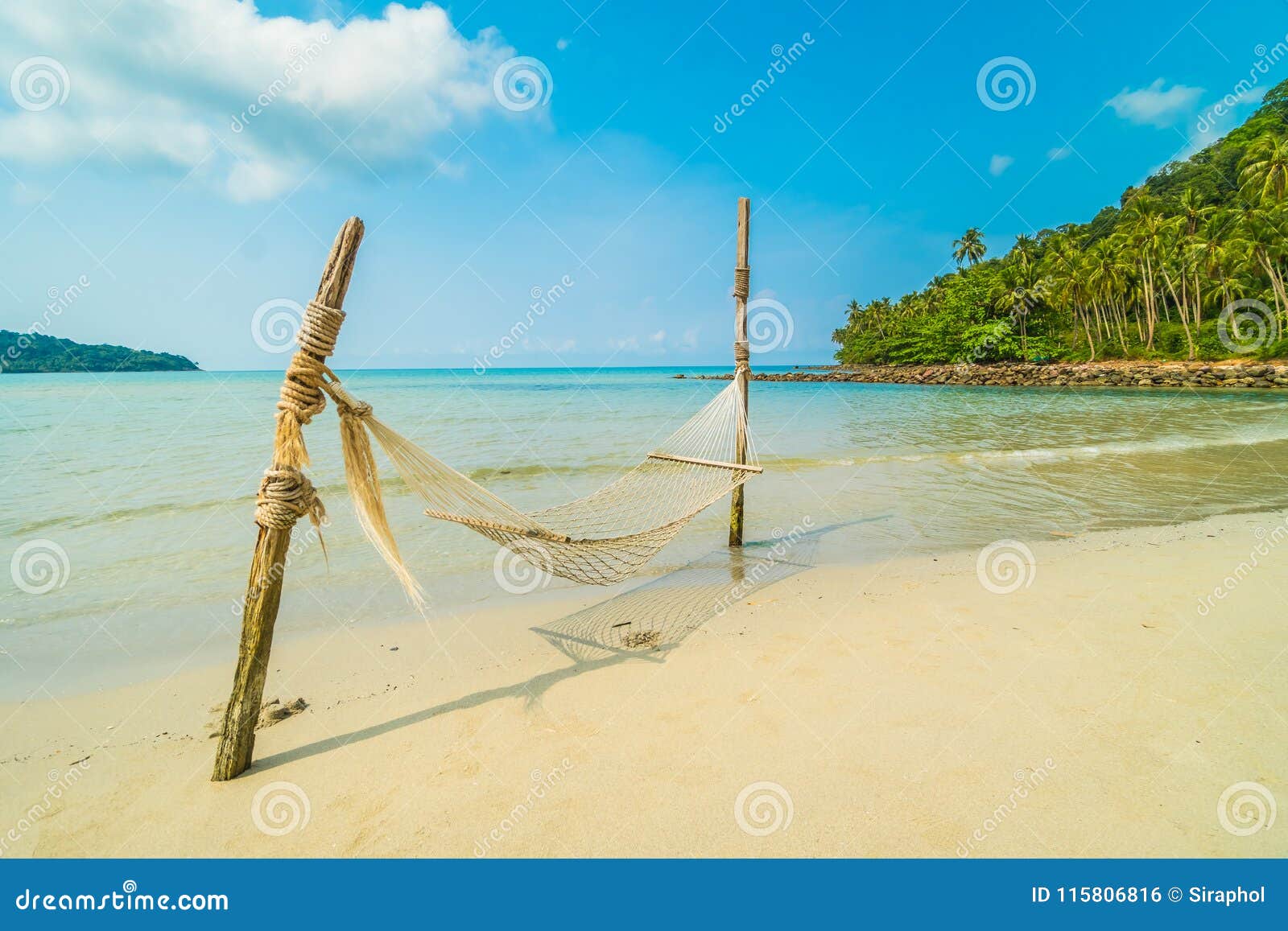 Rede Na Praia Tropical Bonita E Mar Com Amigo Do Coco Foto de Stock ...