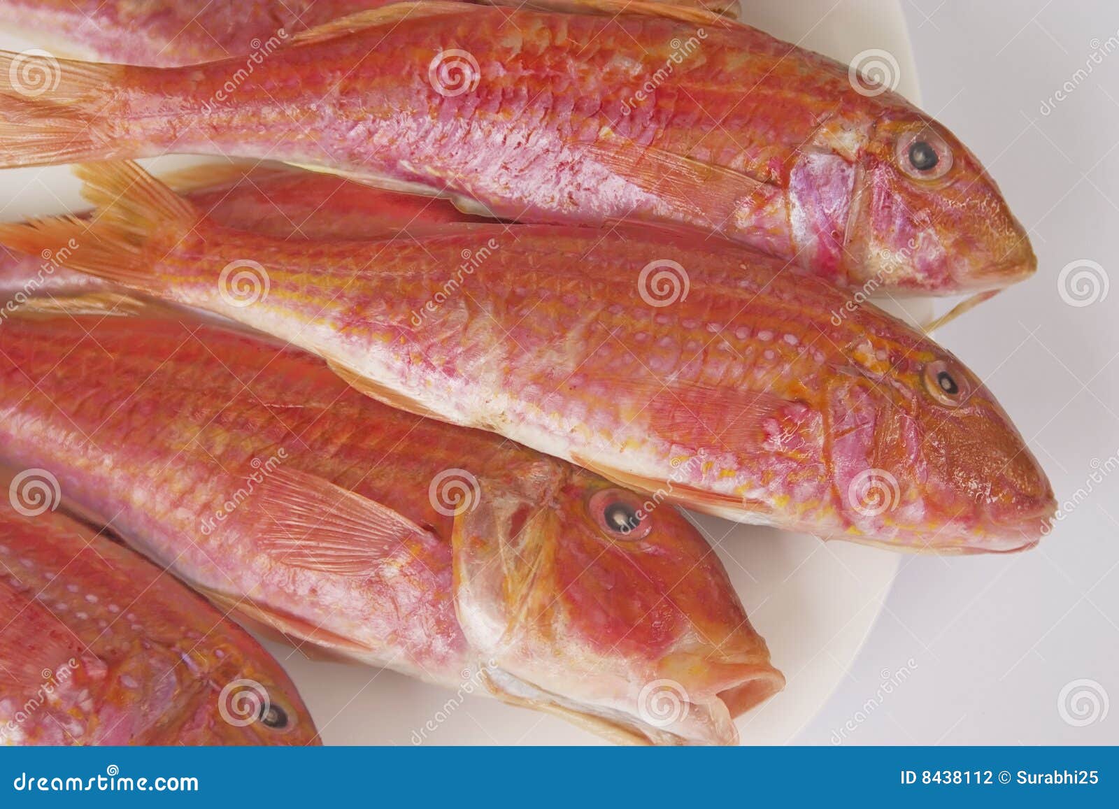 Redfish stock photo. Image of table, food, seafood, fisherman - 8438112