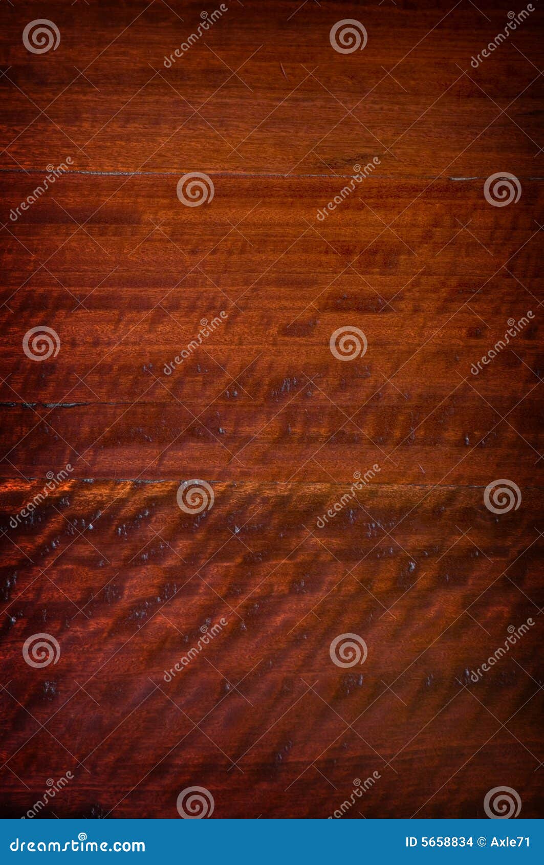 Redgum hardwood stock photo. Image of timber, grain, texture - 5658834