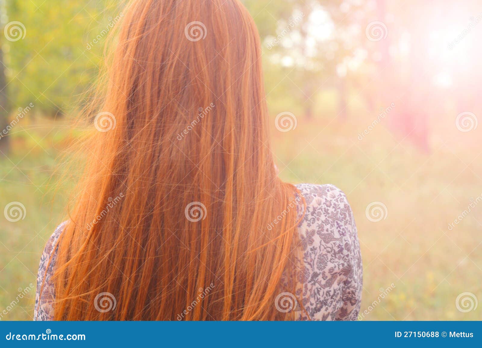 Redhead from back backlit stock photo. Image of female - 27150688
