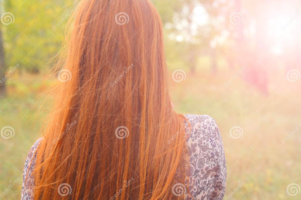 Redhead from back backlit stock photo. Image of female - 27150688