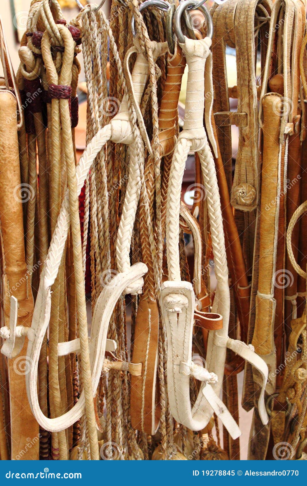 Redini Di Cuoio Del Cavallo Immagine Stock - Immagine di mostra ...