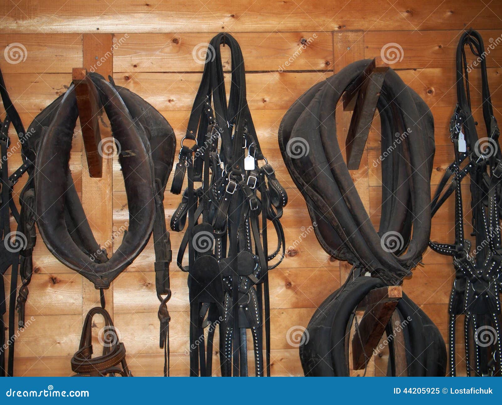 Redini E Collari Di Cavallo Immagine Stock - Immagine di giro, granaio ...