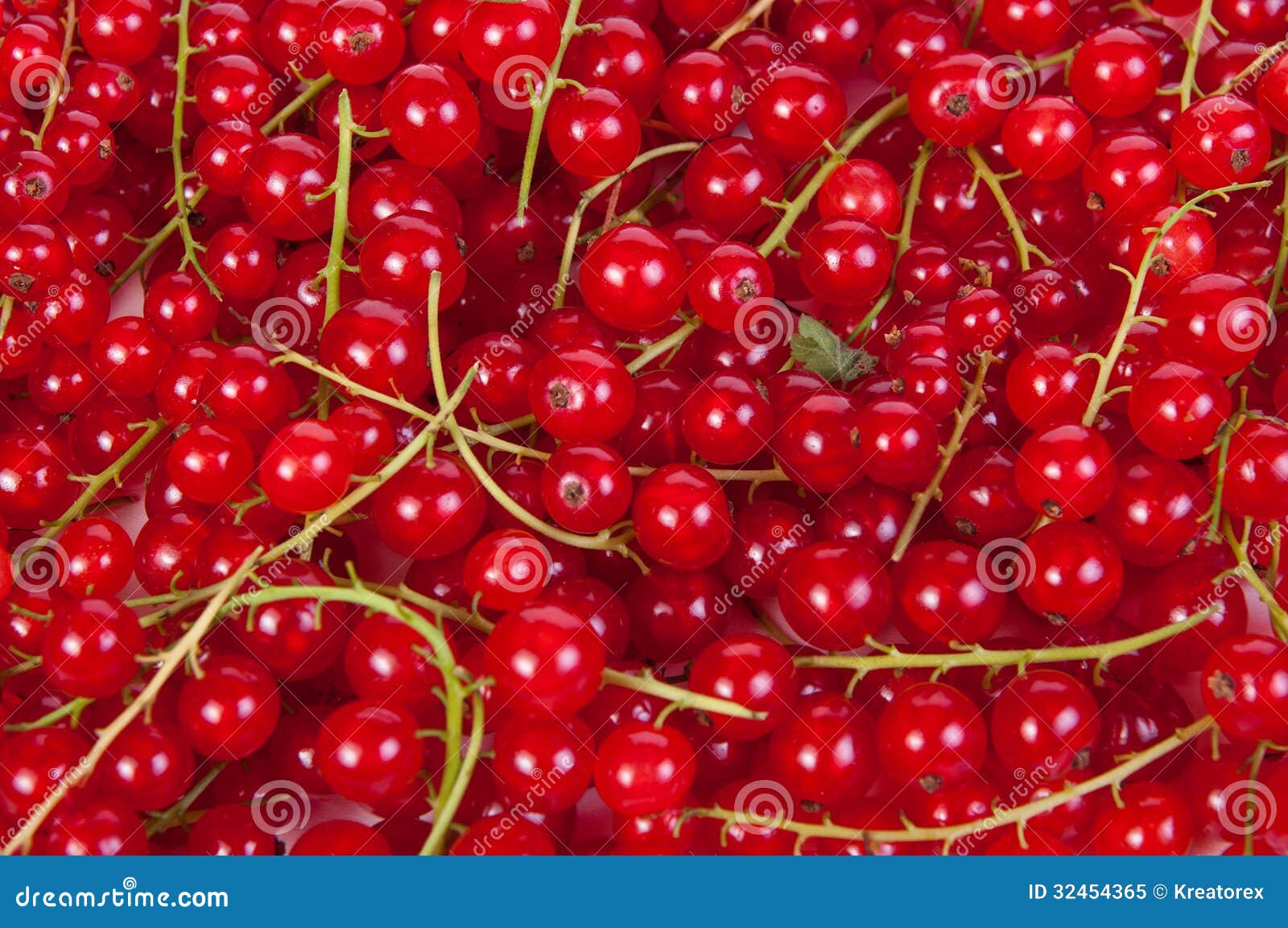 Reds organic currant stock image. Image of organic, nutrition - 32454365