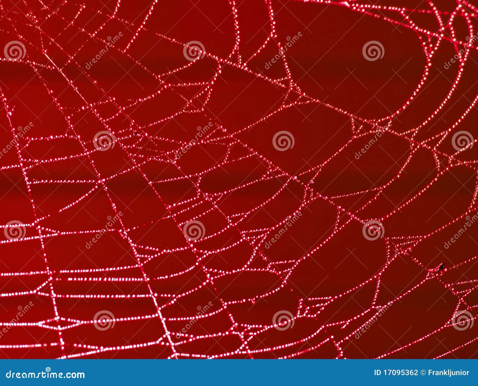 Redtoned Spider Web stock photo. Image of jewels, lights - 17095362