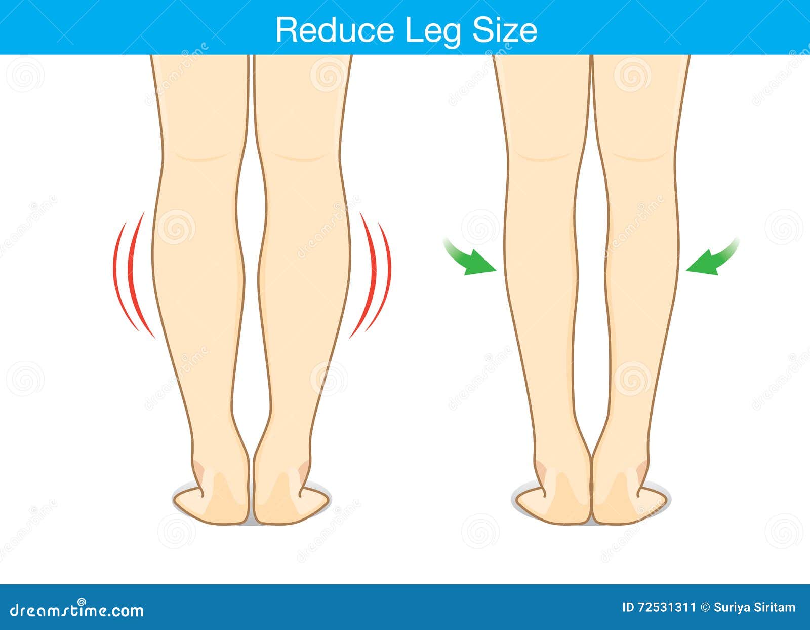 Reduce leg size stock vector. Illustration of effective - 72531311