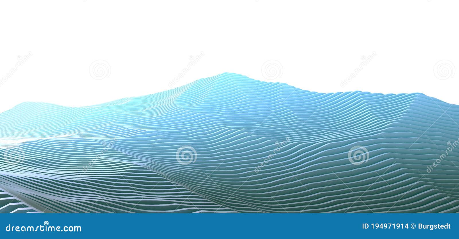 Cross Sections Of Leaf Of Agave Attenuata Vintage Illustration Cartoon ...