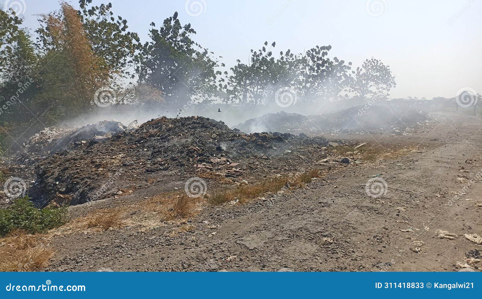 Reducing the Accumulation of Waste at Collection Points by Burning ...