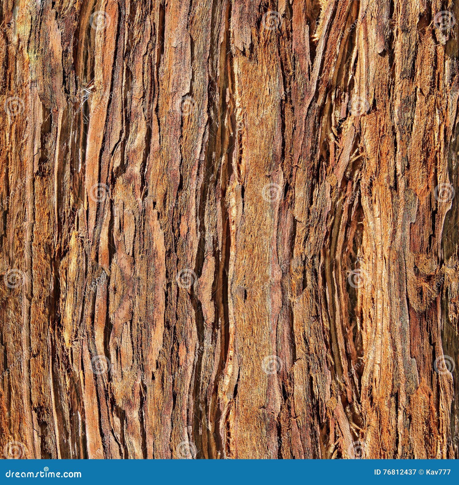 Redwood Bark for Background Stock Image - Image of california, detail ...