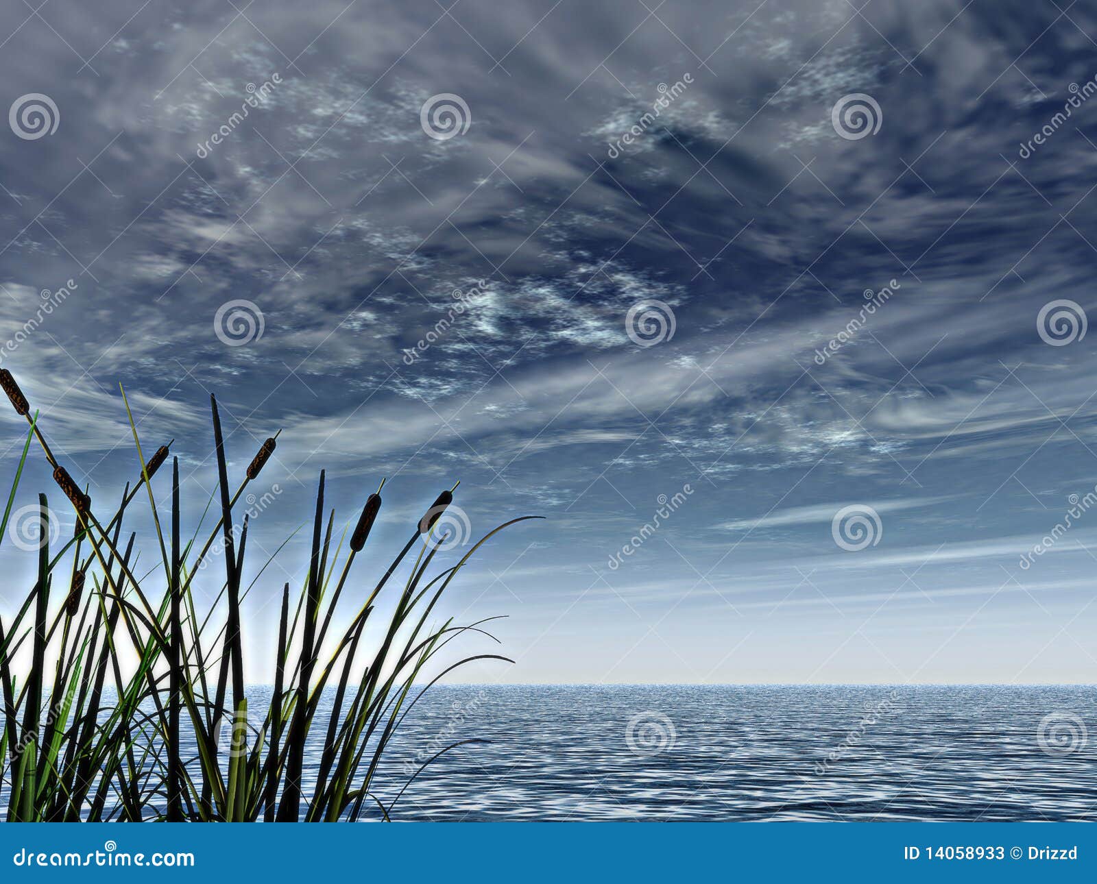 Reed stock illustration. Illustration of landscape, nature - 14058933