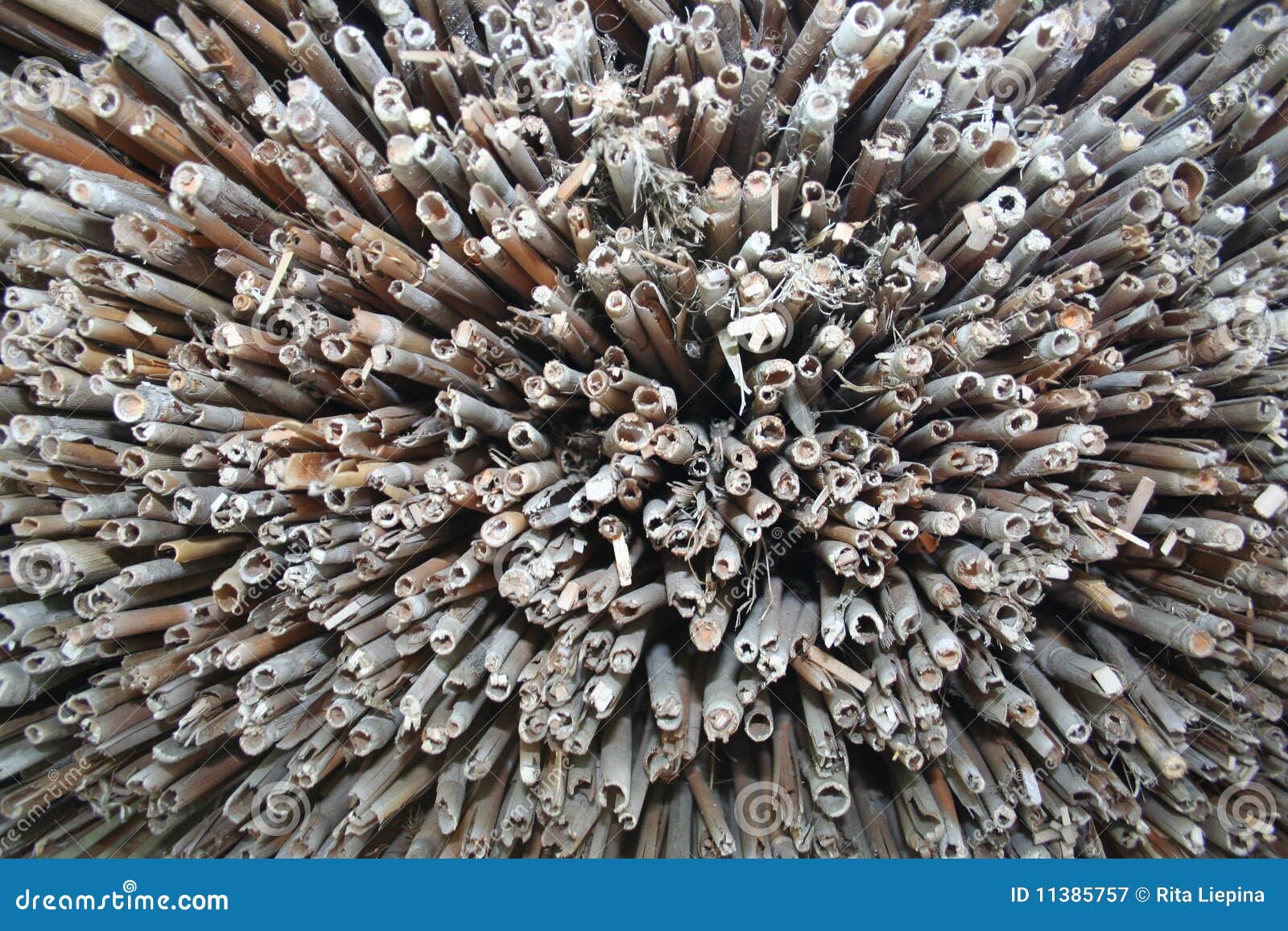 Reed background stock image. Image of reed, natural, roof - 11385757