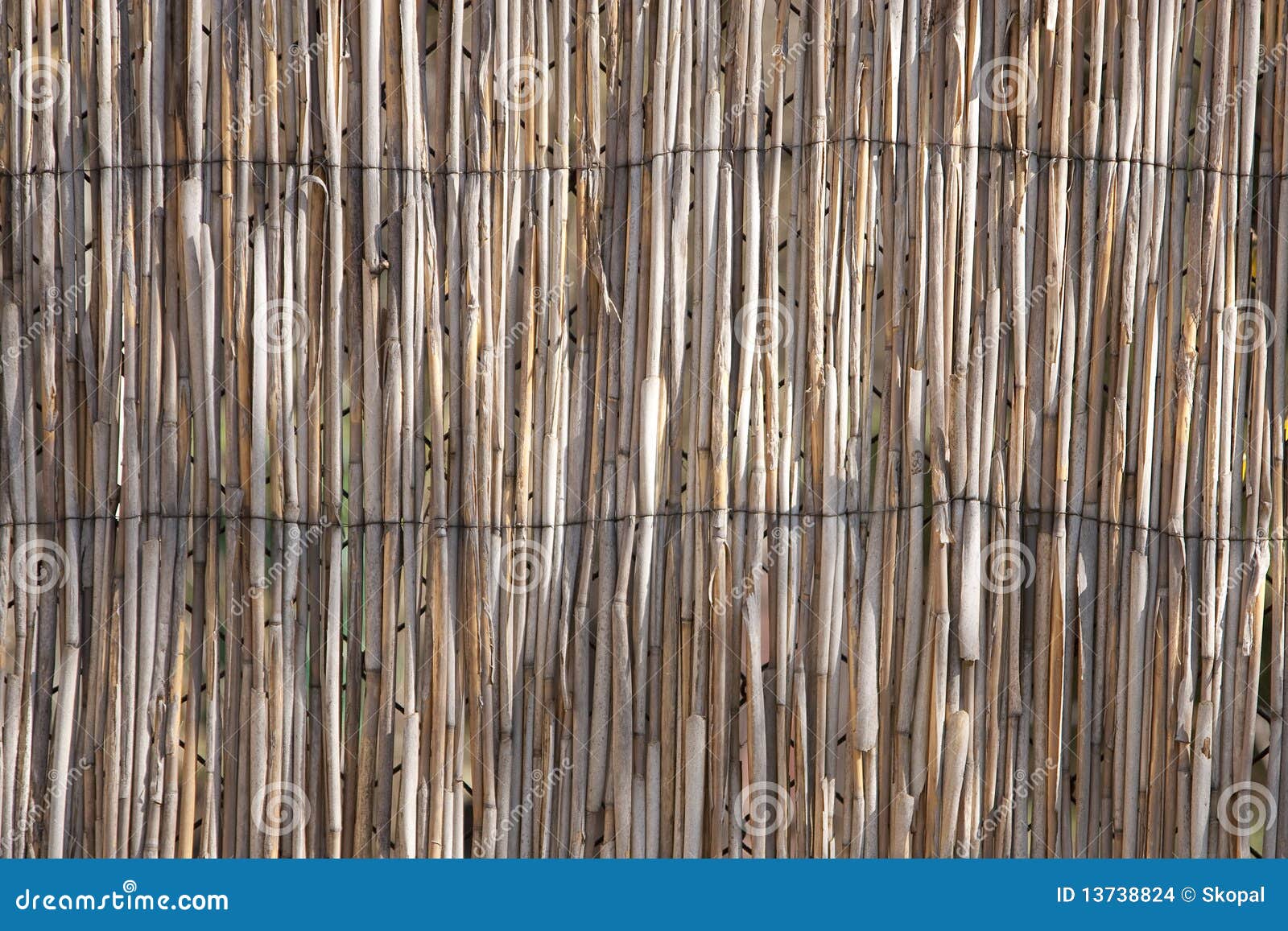 Reed background stock photo. Image of rattan, simple - 13738824