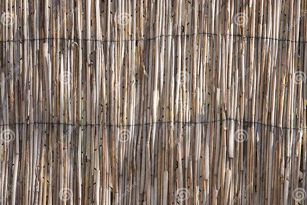 Reed background stock photo. Image of rattan, simple - 13738824