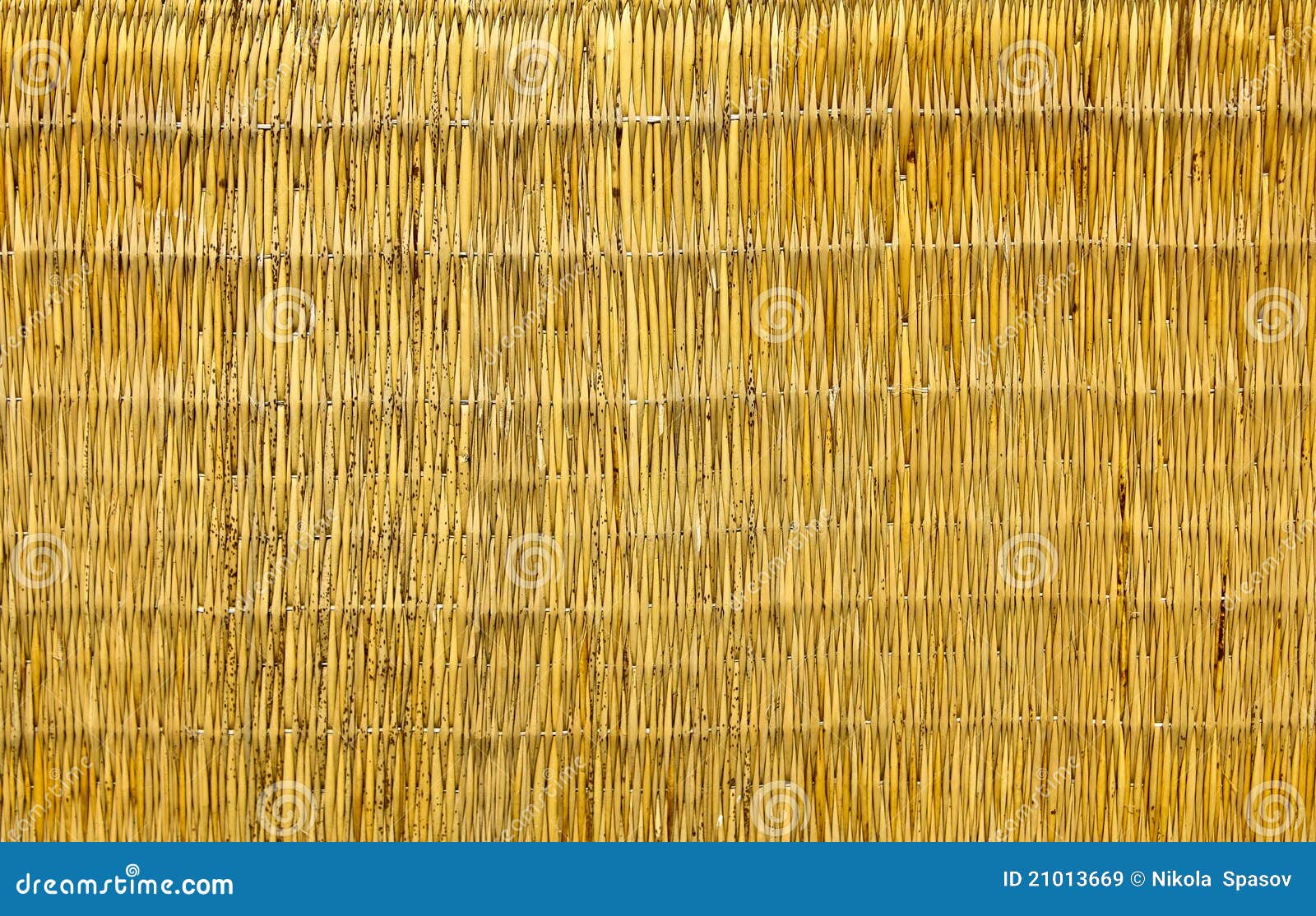 Reed background stock image. Image of wooden, wall, plant - 21013669