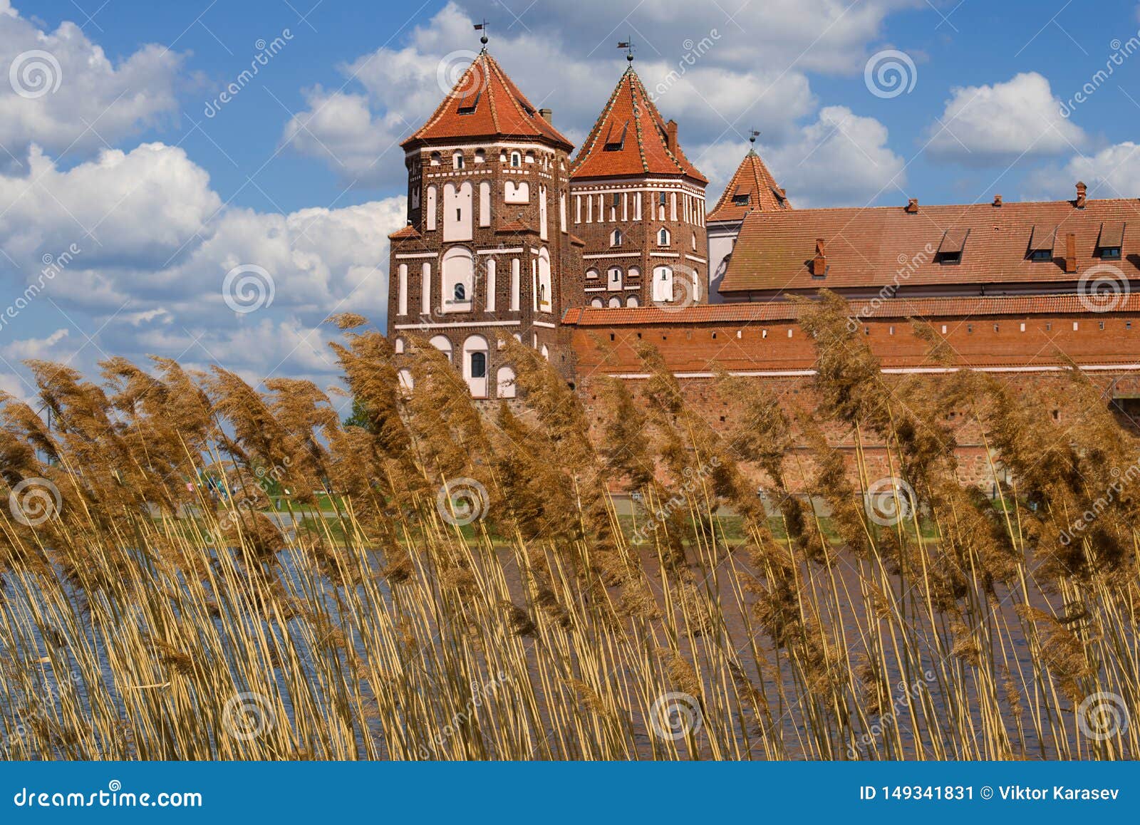 Reed on the Background of Mir Castle. Mir, Belarus Stock Image - Image ...