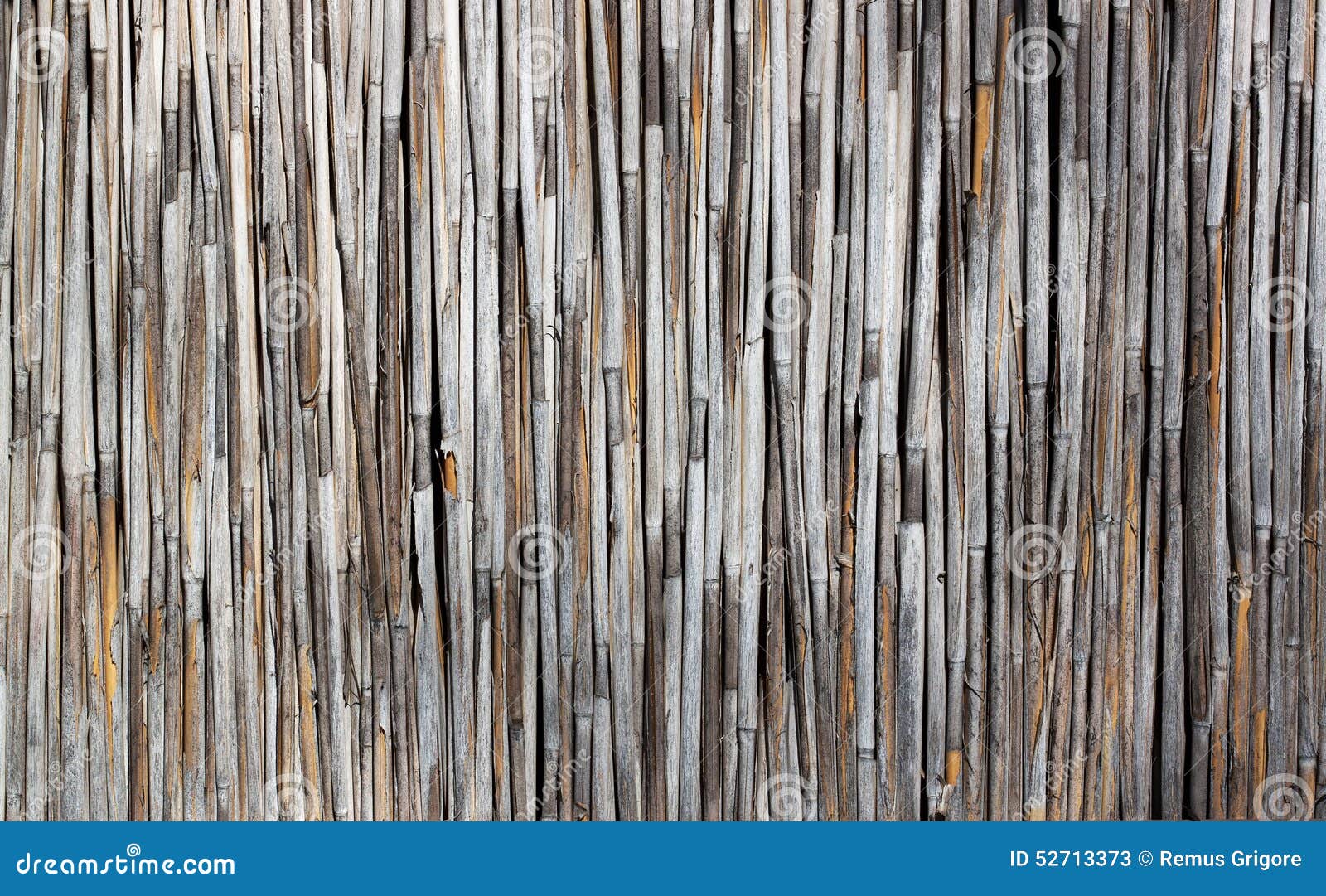 Reed Background - RAW Format Stock Image - Image of season, vertical ...