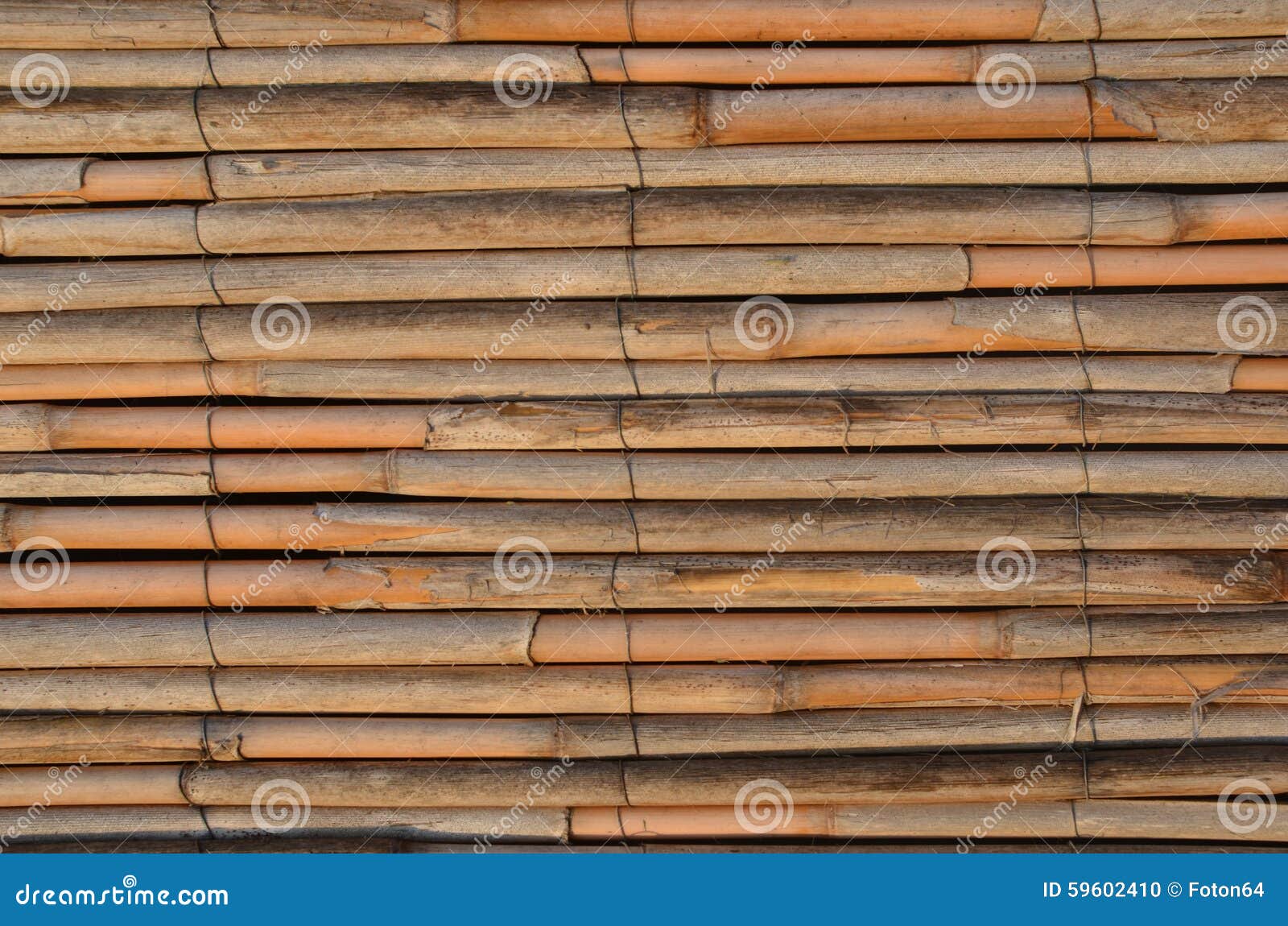 Reeds wall background stock photo. Image of natural, light - 59602410