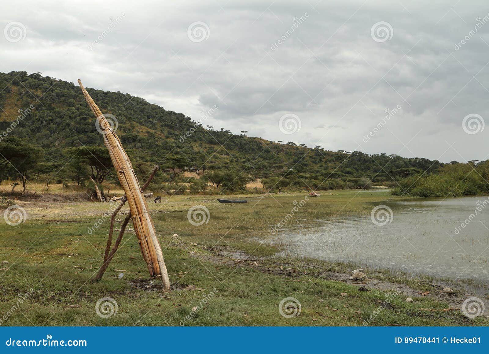 Reed Boats at Ziway Lake in Ethiopia Stock Image - Image of ziway ...