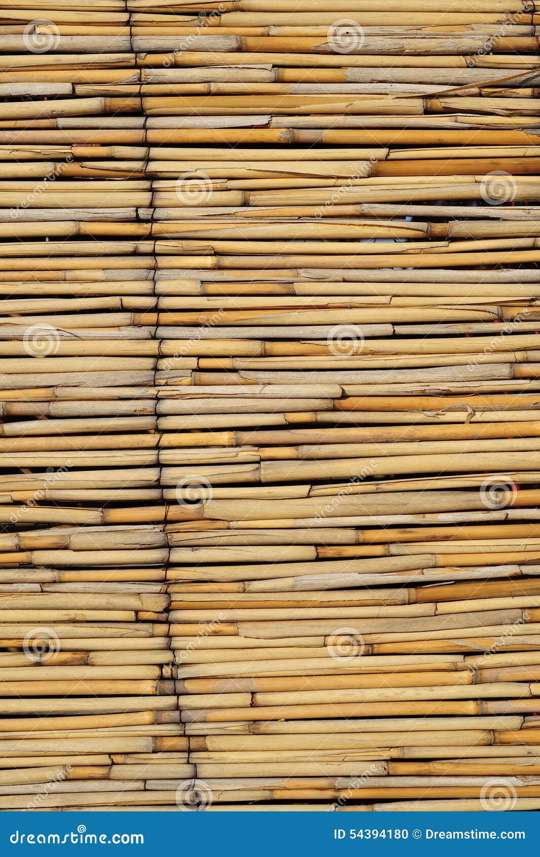 Reed stock photo. Image of rural, straws, natural, rustic - 54394180