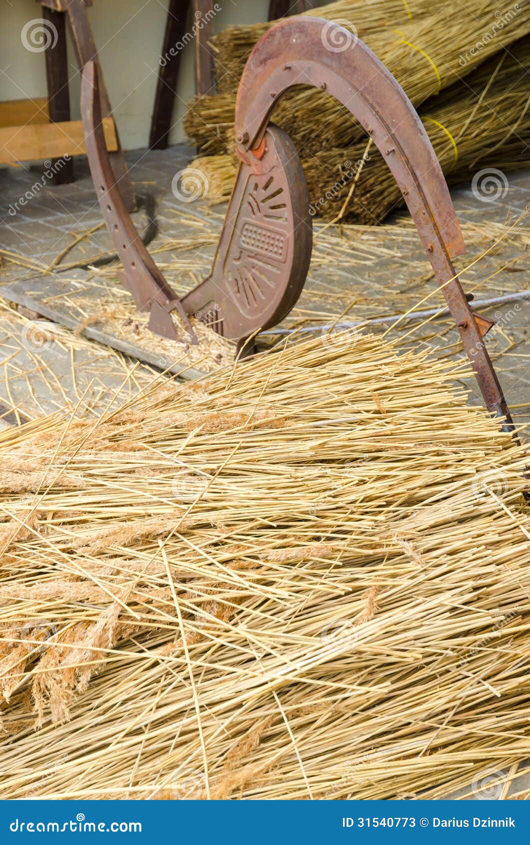 Reed cutter stock image. Image of occupation, ancient - 31540773