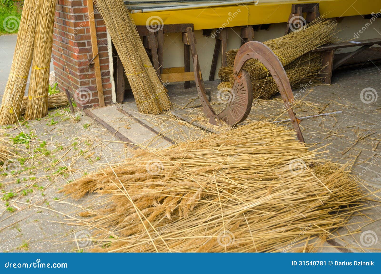 Reed cutter stock image. Image of craft, holland, grass - 31540781