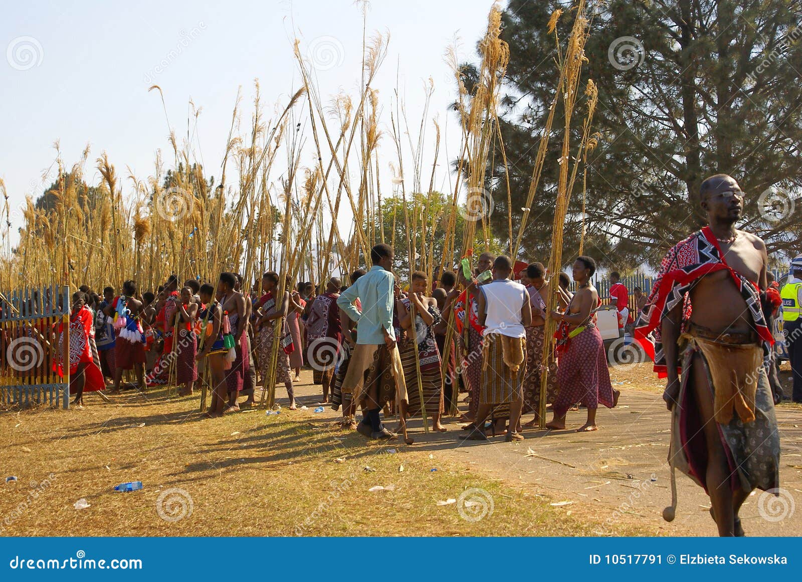 Reed Dance in Swaziland editorial photo. Image of garment - 10517791