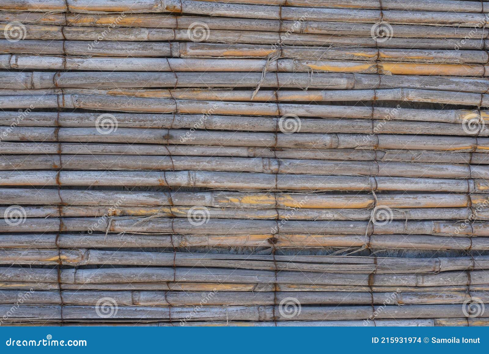 Reed. Reed Fence, Texture. Photo during the Day. Stock Photo - Image of ...