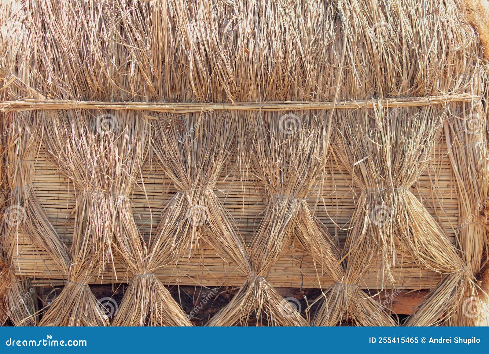 Reed Fence Wall As Abstract Background. Stock Image - Image of plant ...